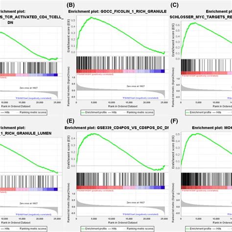 Gene Sets Activated In The Pgam1‐high Expression Group Which Comprised Download Scientific
