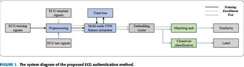 Figure 1 From Ecg Authentication Method Based On Parallel Multi Scale