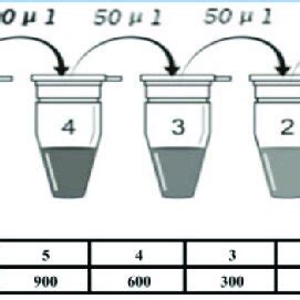 Preparation Of Standard Solution With Elisa Kit Statistical Analysis