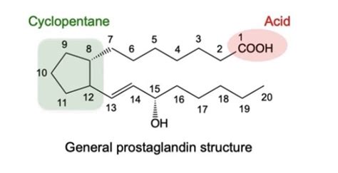 Med Chem Of Acetaminophen Nsaids And Dmards Flashcards Quizlet