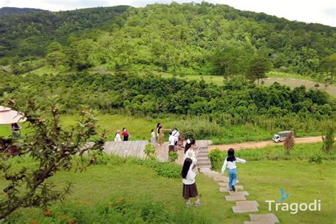 Da Lat Vietnams Most Romantic Travel Spot Tragodi