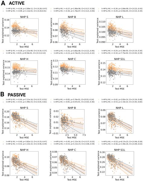 Task Driven Neural Network Models Predict Neural Dynamics Of Proprioception Cell