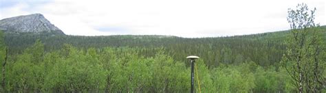 Forest Tundra Ecotone Forestinventory No