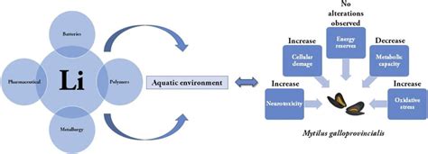 Impacts Of Lithium Pollution On Marine Life Lithium Ion Battery A