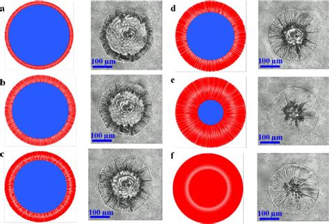 Figure 5 From Evaporation Mediated Translation And Encapsulation Of An Aqueous Droplet Atop A