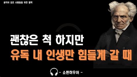 쇼펜하우어 철학의 맞춤형 고민상담 확장현실적용 나보다 적은노력으로잘나가는 사람들때문에 괴로운 그대를 위한 철학적조언 철학공부 인생지혜 철학자명언