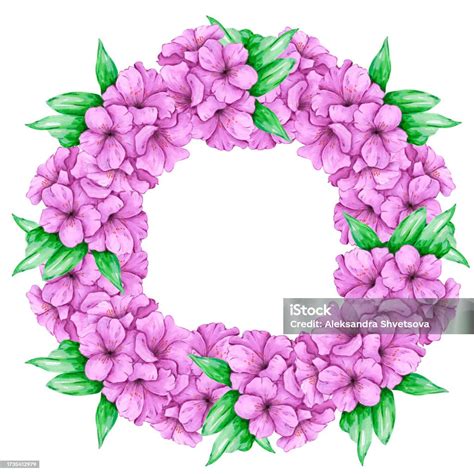 손으로 그린 수채화 보라색 진달래 화환 프레임 테두리가 흰색 배경에 분리되어 있다 초대장 엽서 포스터 장식 및 기타 인쇄물에