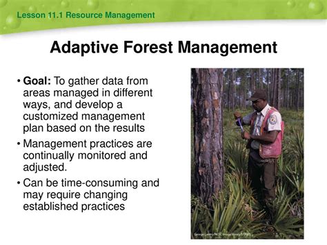 forestry and resource management ppt download