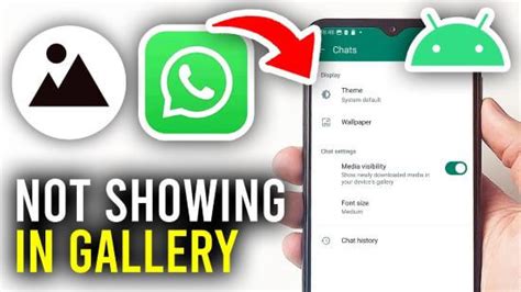 6 Proven Ways To Fix Whatsapp Images Not Showing In Gallery