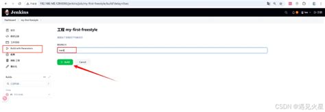 Jenkins全链路教程——jenkins项目创建与基础构建 Jenkins新建项目 Csdn博客