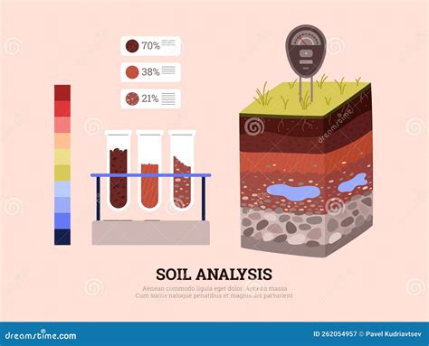 Soil Analysis Infographic Showing Section Of Fertile Soil Layers Flat