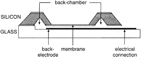 Cross Section View Of The Microphone Structure With A P Silicon