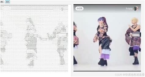 用java 编写的视频转成ascii动画——极乐静土 Csdn博客