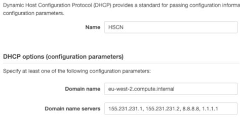 creating custom dns entries for servers within aws vpc s