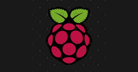 Raspberry Pi Symbol