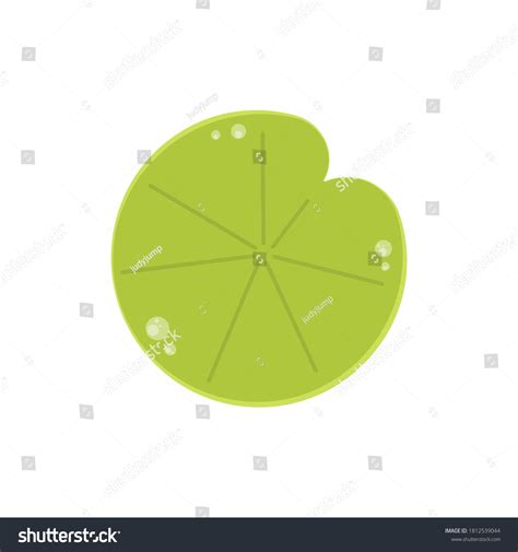 1 507 Lily Pad Vector Stock Vectors Images And Vector Art Shutterstock