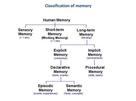 cerebral cortex intellectual functions of the brain learning and memory ppt