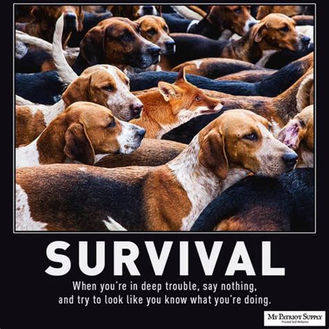 25 Best Survival Memes For Emergency Preparedness Scout