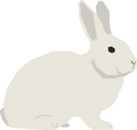Rabbit Animal Flat Vector Design Isolated 11107890 Png