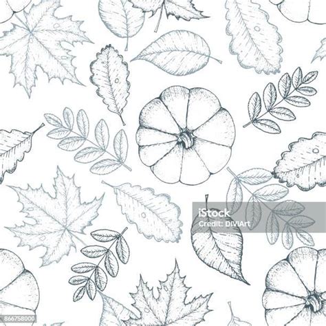 가 완벽 한 패턴입니다 손으로 그린 벡터 일러스트 레이 션 잎과 호박 손 그려진된 밑그림입니다 가 패턴 컬러 스케치 스타일