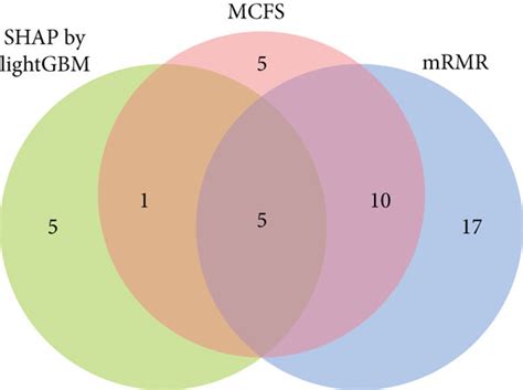 Venn Diagram To Show The Intersection Of Three Feasible Feature Subsets Download Scientific