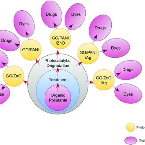 1 Illustration Of Chapter Outline Download Scientific Diagram