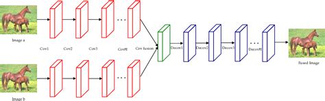 Figure 1 From Multi Focus Image Fusion Using Fully Convolutional Two