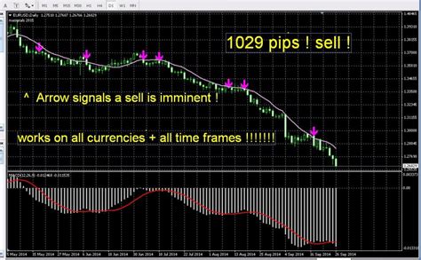 Accurate Forex Indicator Binary Options Live Signals Best Proprietary Algorithms 2020 Trading