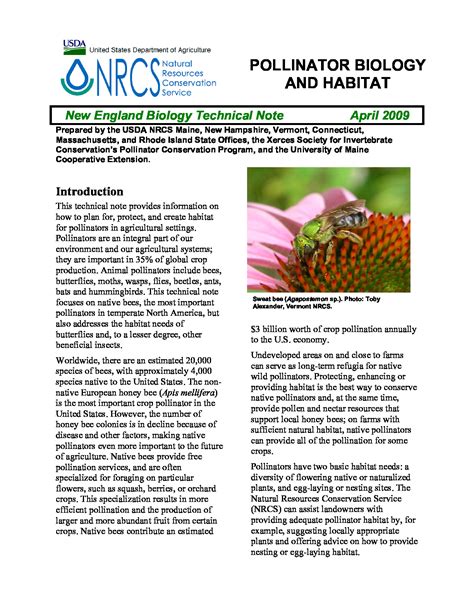 Young Forest And Shrubland Habitat Resources Young Forest And Shrubland