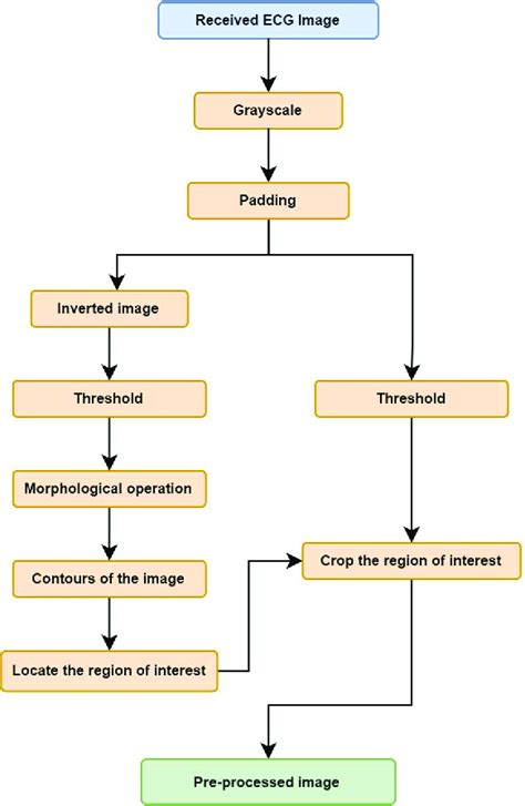 steps of pre processing phase download scientific diagram