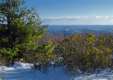 무료 이미지 경치 바다 나무 숲 잔디 황야 눈 겨울 하이킹 아침 잎 꽃 호수 강 골짜기 반사 가을 시즌 언덕 크리에이티브 커먼즈 습지