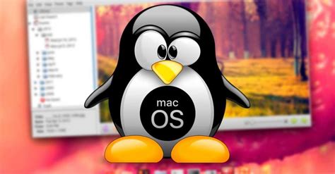 Elementary Os 6 News That Will Come To Linux Similar To Macos Itigic