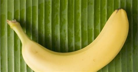 소품으로만 활용하지 말자 바나나 잎의 다양한 효능은
