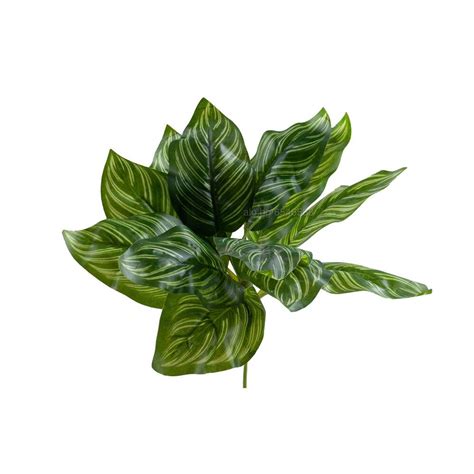 Изкуствено растение Цветя декоративни растения Бургас Декоративно растение което мног