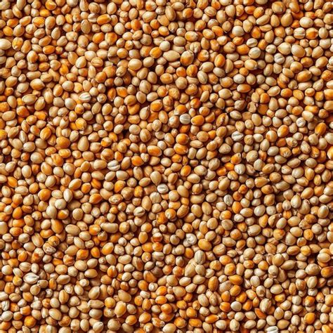 Background Filled With Sorghum Premium Ai Generated Image