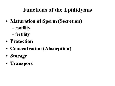 Endocrinology Of The Epididymis And Sperm Maturation John