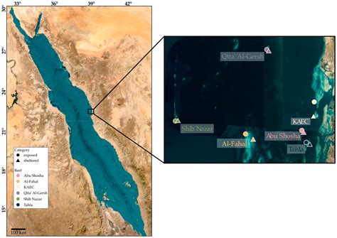 Multiscale Patterns Of Bacterial And Protist Diversity Across Red Sea