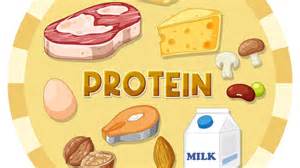 Protein Deficiency Why Does The Body Lack Protein And What Are Its
