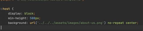 Unable To Use Assets In Url In Scss After Upgrading To Angular 10