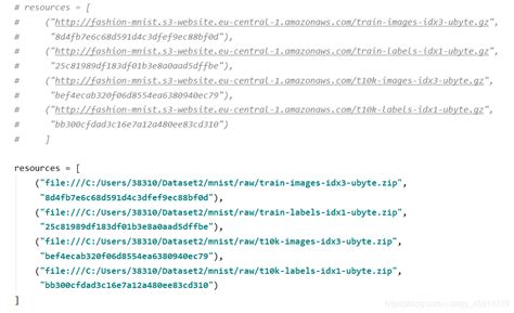 【pytorch】torchvision下载fashionmnist数据集速度过慢的解决方案 和bug做朋友的zoro的博客 csdn博客