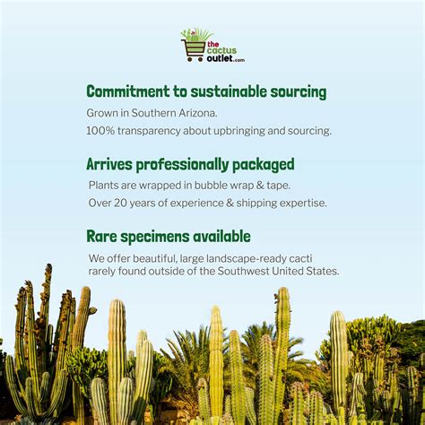 Adaptation Of Cactus