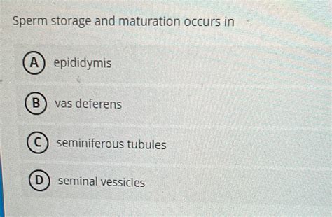 Solved Sperm Storage And Maturation Occurs Inepididymisvas
