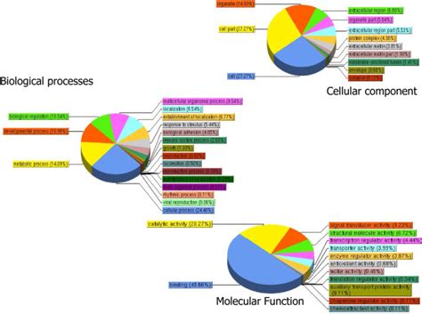Cellular Components Molecular Functions And Biological Processes