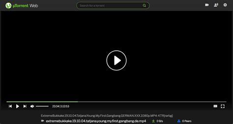 127 0 0 1 19575 see bug description · issue 47532 · webcompat web