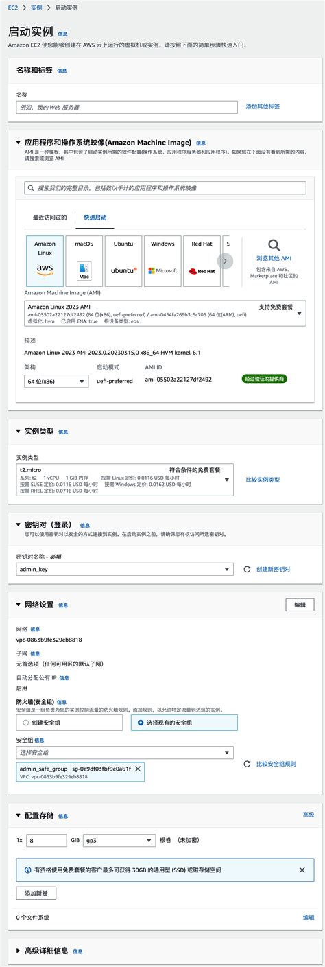免费1年服务器，部署个chatgpt专属网页版！ 小傅哥 Bugstack 虫洞栈
