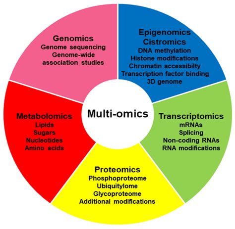 beyond dna the unseen genome and novel omics approach