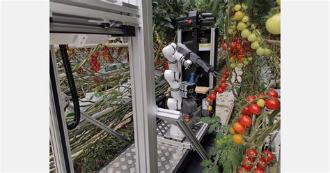 Harvesting Robots To Combat Staff Shortages
