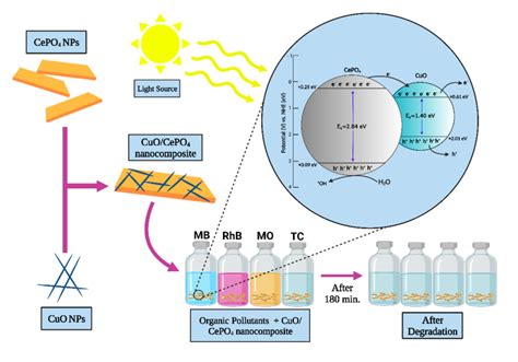 Graphical Abstract Of The Research Article Download Scientific Diagram