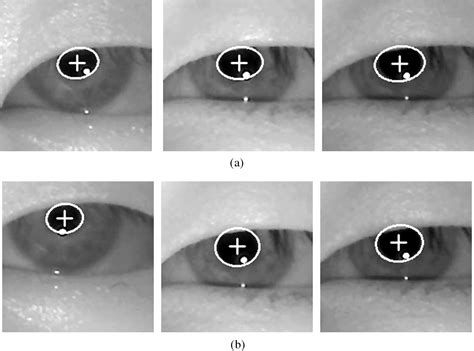 Binocular Gaze Detection Method Using A Fuzzy Algorithm Based On