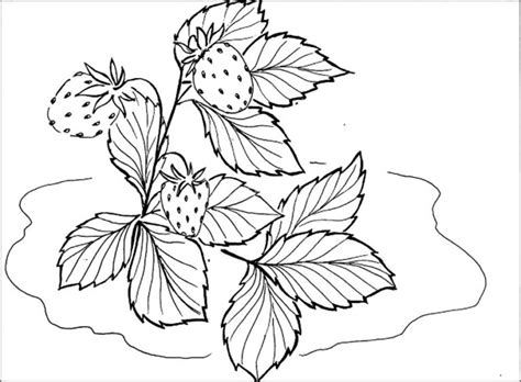 Розмальовка фрукти